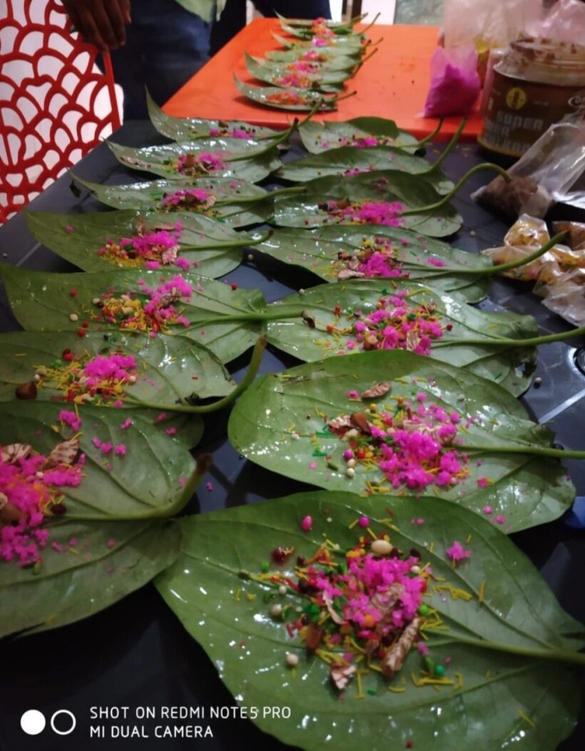 RAJA FESTIVAL – celebrating womanhood – Pallavi Acharya